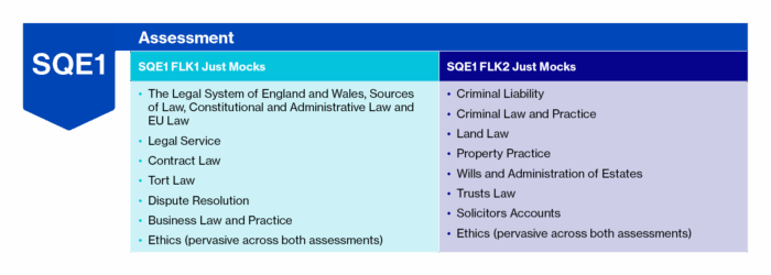 Our SQE1 Just Mocks course will test your knowledge across the subject ...